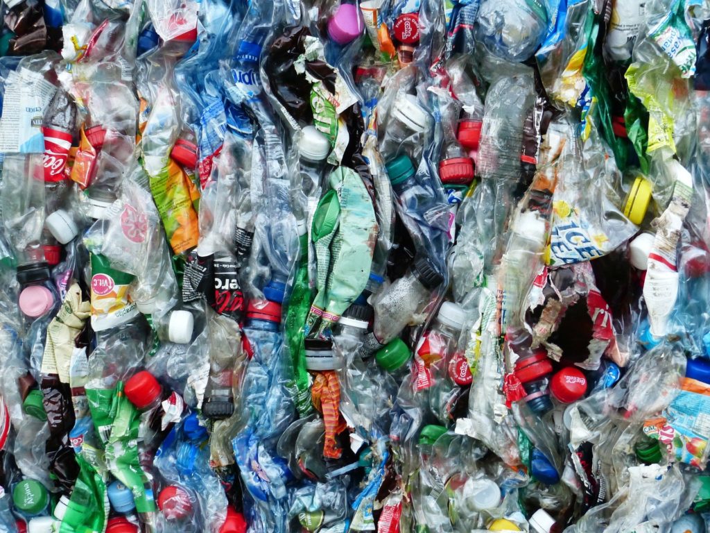 Genetically engineered microbes convert waste plastic into vanillin ...